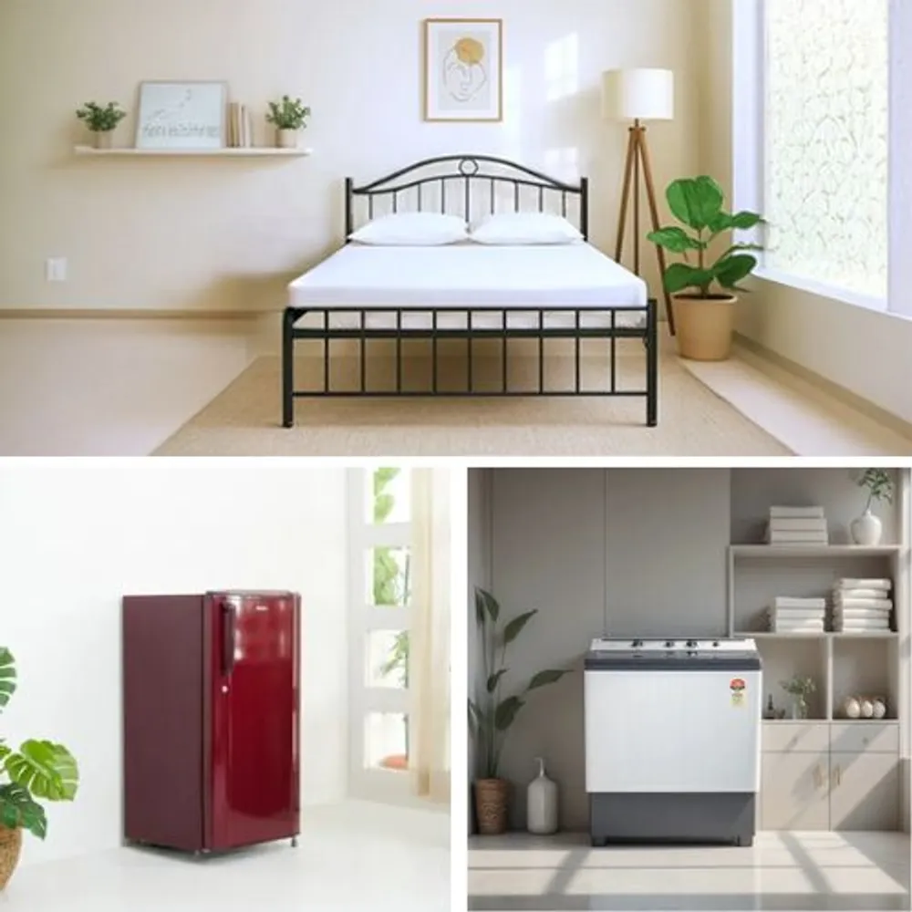 Queen RentoBasics on Rent in Pune | RentoMojo.com