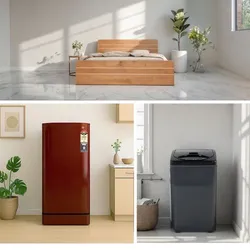 Queen RentoBasics - Standard on Rent in Pune | RentoMojo.com